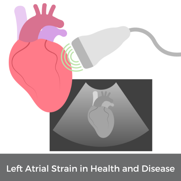 Left Atrial Strain in Health and Disease - Ultrasound Solutions Corp.