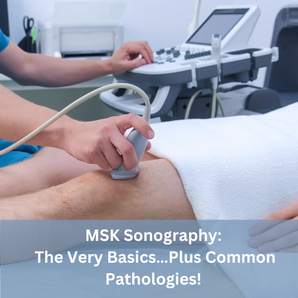 MSK Sonography: The Very Basics…Plus Common Pathologies!